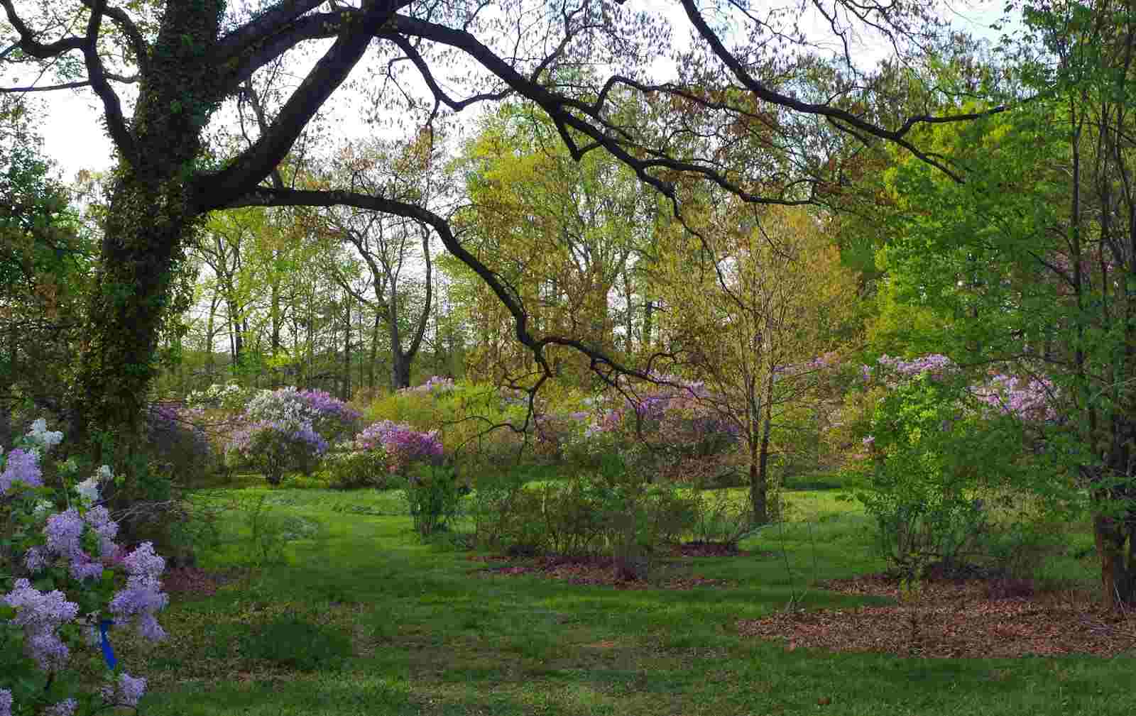 10 Secret Things You MUST Do in Washington DC