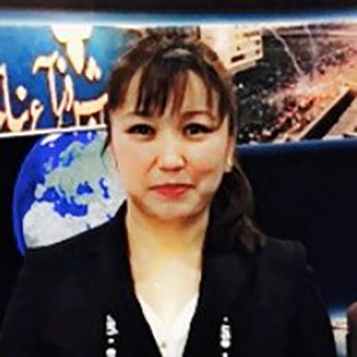 Hummel, Sara - University of the Potomac