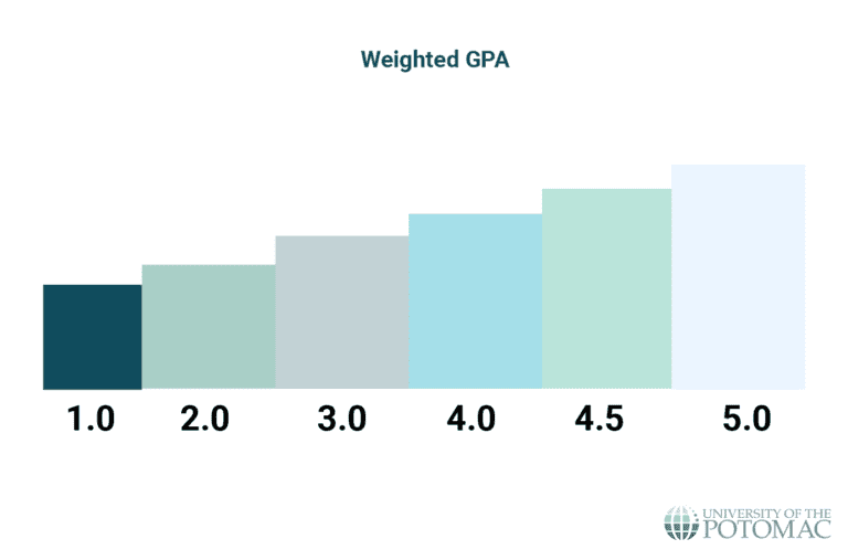 Weighted vs. Unweighted GPA: What's the Difference and Why It Matters